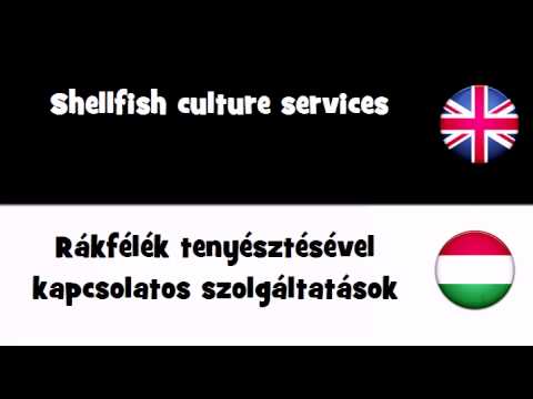 VOCABULARY IN 20 LANGUAGES = Shellfish culture services
