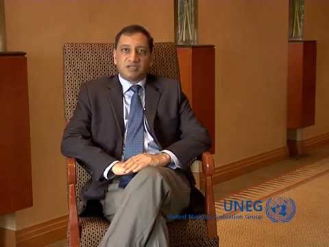 UNEG Strategic Objective One - Indran A. Naidoo