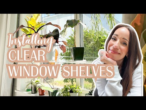 Installing Window Clear Shelves For Plants