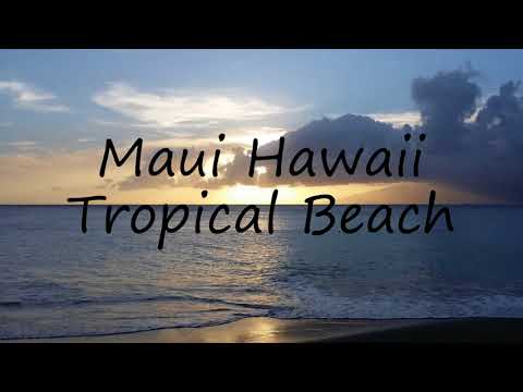 How to say Maui Hawaii Tropical Beach in English?