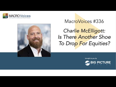 MacroVoices #336 Charlie McElligott: Is There Another Shoe To Drop For Equities?