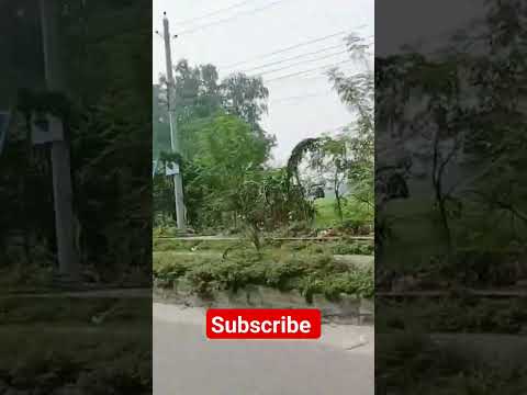 Circuit House at Sirajganj #viral #youtube #youtubeshorts #youtubevideo #house