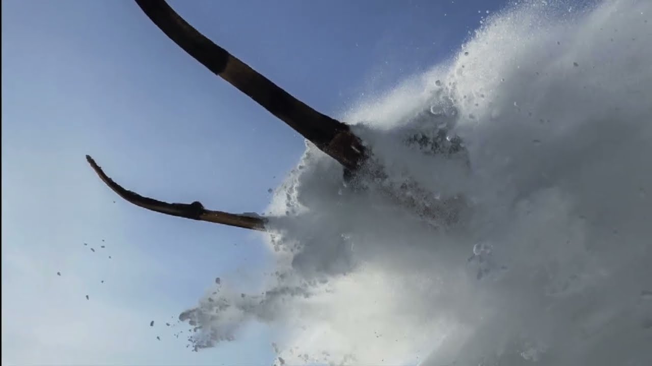 Haydn 2032, Vol. 13: Horn Signal | Outhere Music