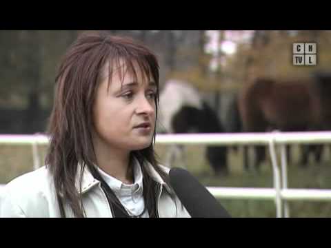 PFRON dopłacił do rekreacji konnej w DPS-ie. Program z 28.10.2011