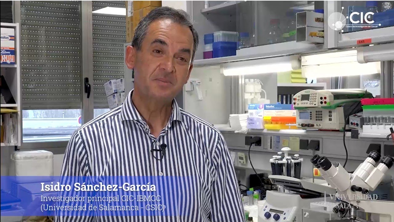 ¿Qué es la leucemia linfoblástica aguda? Habla Isidro Sánchez-García, Centro de Investigación Cáncer