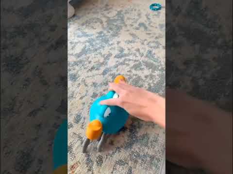 Crawling Crab Toy