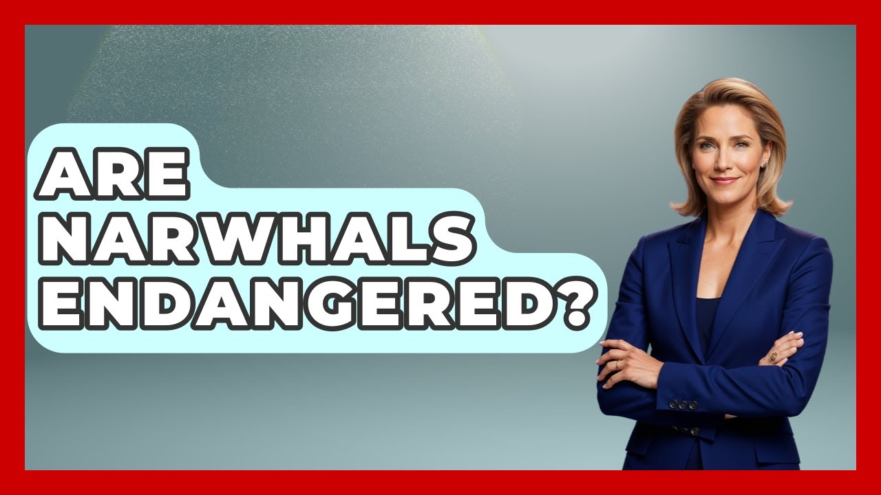 Are Narwhals Endangered? - The Marine Life Explorer
