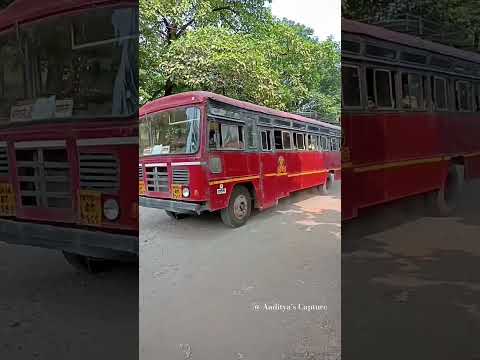 Msrtc Bus Towards Dapoli #bus #msrtc #travel #transport #publictransport #vehicle #kokan #lalpari