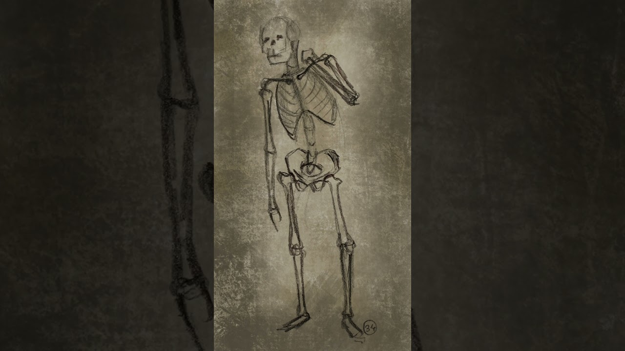 Dancing Skeleton| Part 1|  #art #animation #skeleton #anatomy #funny #dance