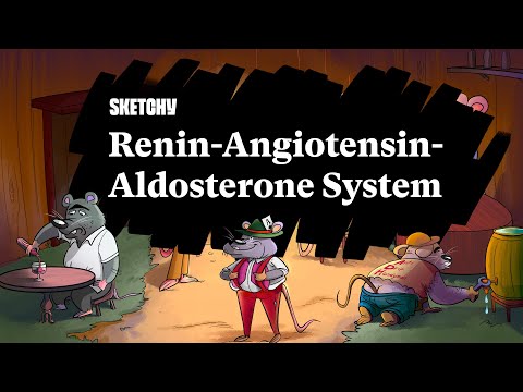 Renin-Angiotensin-Aldosterone System (Part 1) | Sketchy Medical | USMLE Step 1