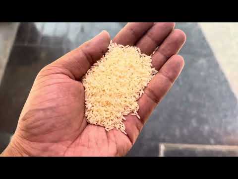 Best Rice in India || Most Famous South Indian Rice || Kolam Rice || Surti Kolam Rice || Keep Suppot