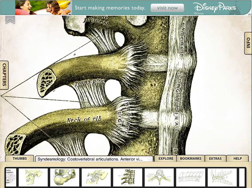 iPad App Quick Overview: Grays Anatomy