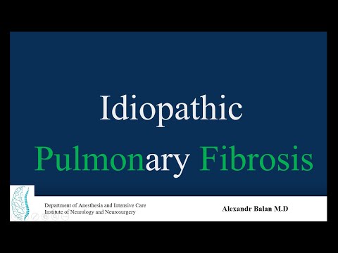 Idiopathic Pulmonary Fibrosis