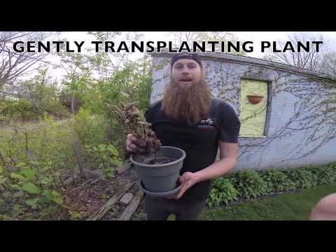 Living off the Grid in Milwaukee Wi with Matt Ostlund!!