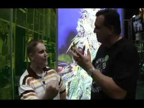 Advanced Nutrients Big Mike with Grower at THC Expo | Avocados Love ...