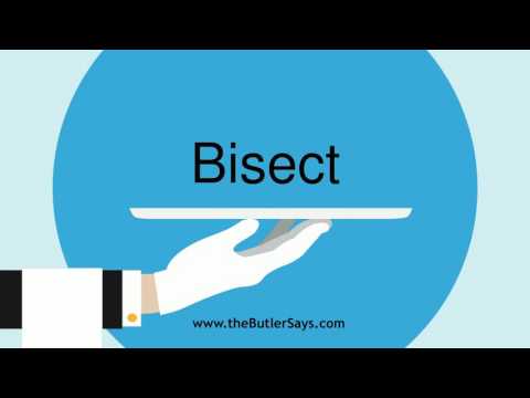 Learn how to say this word: "Bisect"