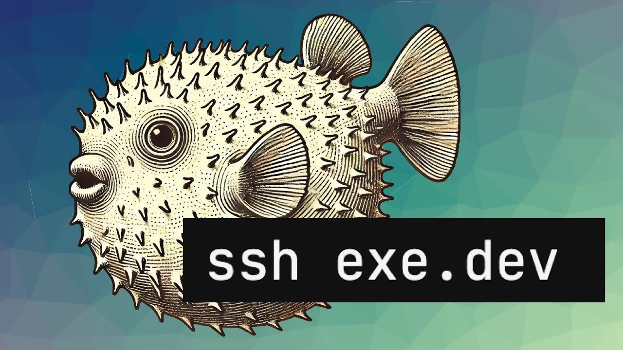 exe.dev makes us celebrate SSH sandboxes all over again