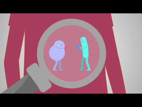 Can The BioArte bridge cutting-edge research and personalized healthcare?