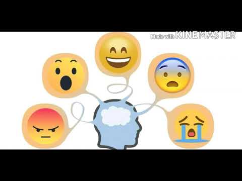 Octavo 8° – EduDerechos