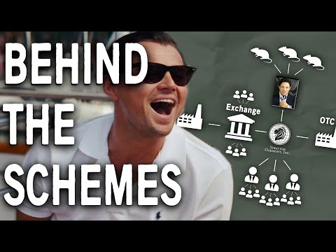 How The Wolf of Wall Street Scam Actually Worked - How Money Works