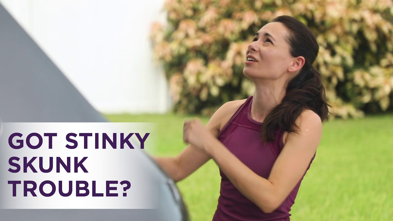 De-Skunk Odor Destroying Shampoo
