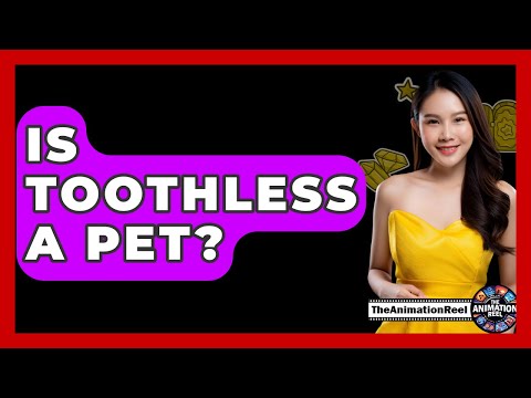 Is Toothless A Pet? - The Animation Reel