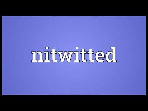 Nitwitted Meaning