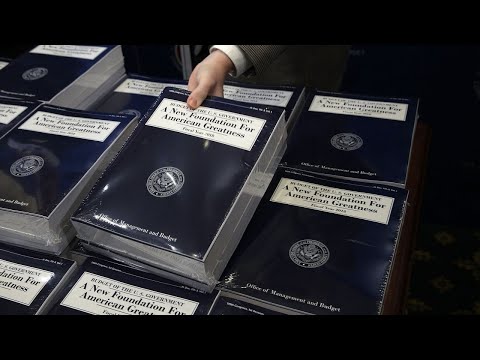 Earmarks, explained