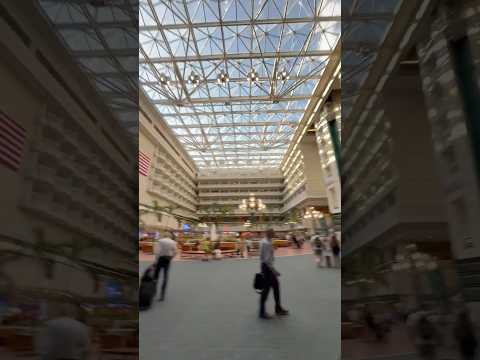 Orlando International Airport,FL#shortsvideo #shortvideo #shorts #short #travel #airport #fly #usa