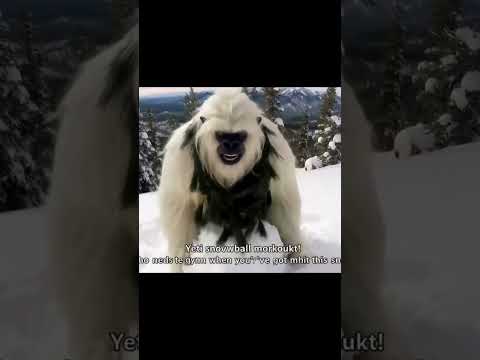 What Happens When a Yeti Takes a Bath in Snow?
