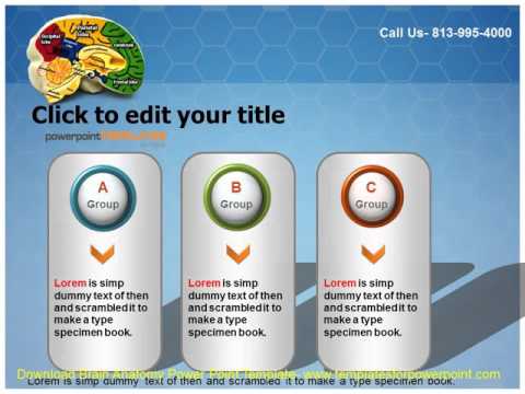 Download Brain Anatomy Powerpoint Template