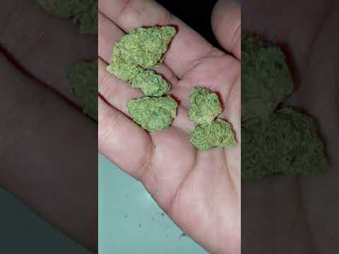 Flow Gardens, Grapefruit, 2nd place Emerald Cup winner 2022 (is it good?)