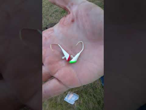 3 Tips to catch more shad!
