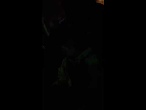 Wonder pets theme