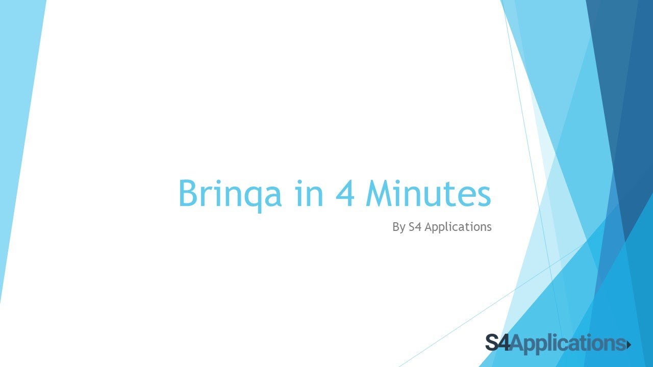 Brinqa in 4 Minutes