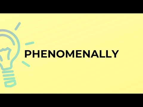 What is the meaning of the word PHENOMENALLY?