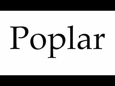 How to Pronounce Poplar