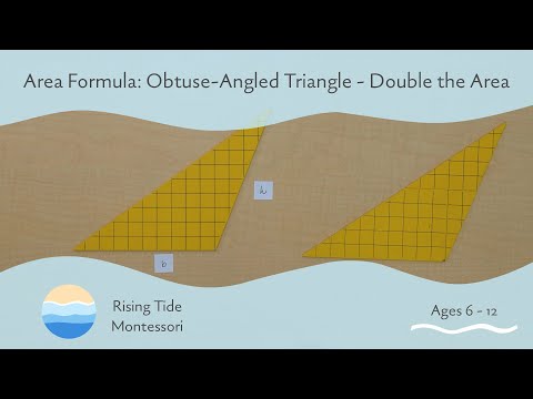 Area Formula: Obtuse-Angled Triangle - Double the Area