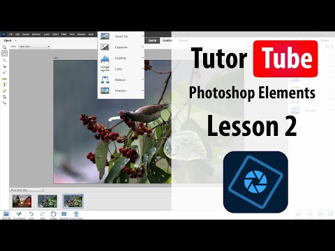 Photoshop Elements Tutorial - Lesson 2 - Photo Editor Interface