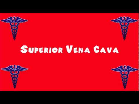 Pronounce Medical Words ― Superior Vena Cava