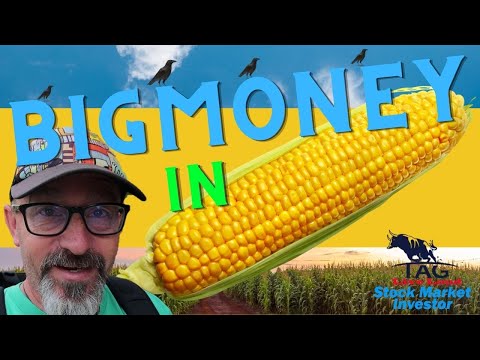 Corn Market Crash | Agricultural commodity prices today all time highs