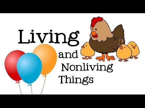 Living and Nonliving Things for Kids: Life Science for Children - FreeSchool