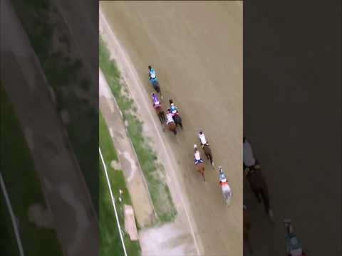 Watch Journalism battle from above 🏇👁🐦