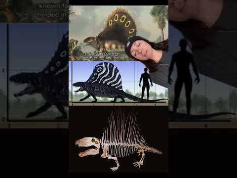 SYNAPSIDS