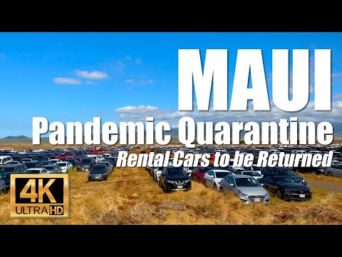 Rental Cars at Kahului Airport waiting to be shipped to Mainland Due to COVID 19 at Maui, Hawaii 4k