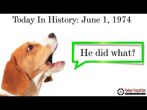 June 1, 1974: Dr. Henry Heimlich and His Beagles