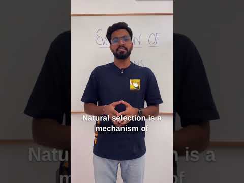 Science Concept | Evolution of Humans #sof #science #nso