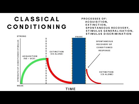 Classical Conditioning-Acquisition, Extinction,Spontaneous Recovery, Generalisation & Discrimination