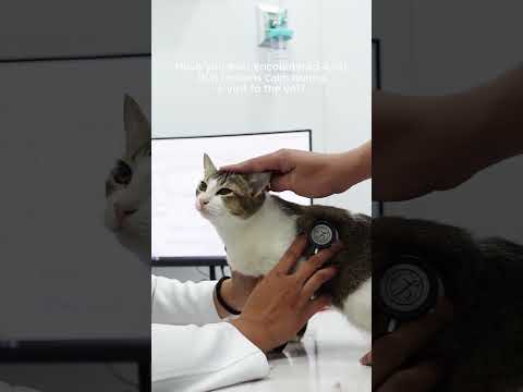 We care for your pets health & wellness