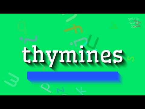 THYMINES - HOW TO PRONOUNCE IT?